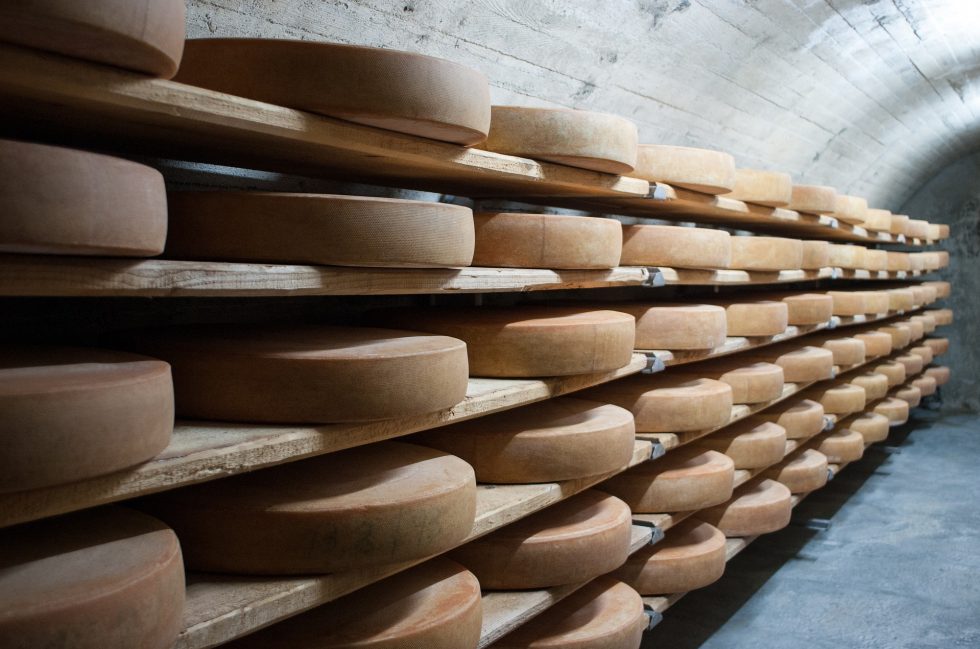 Meule_Comté | La Passion du Fromage